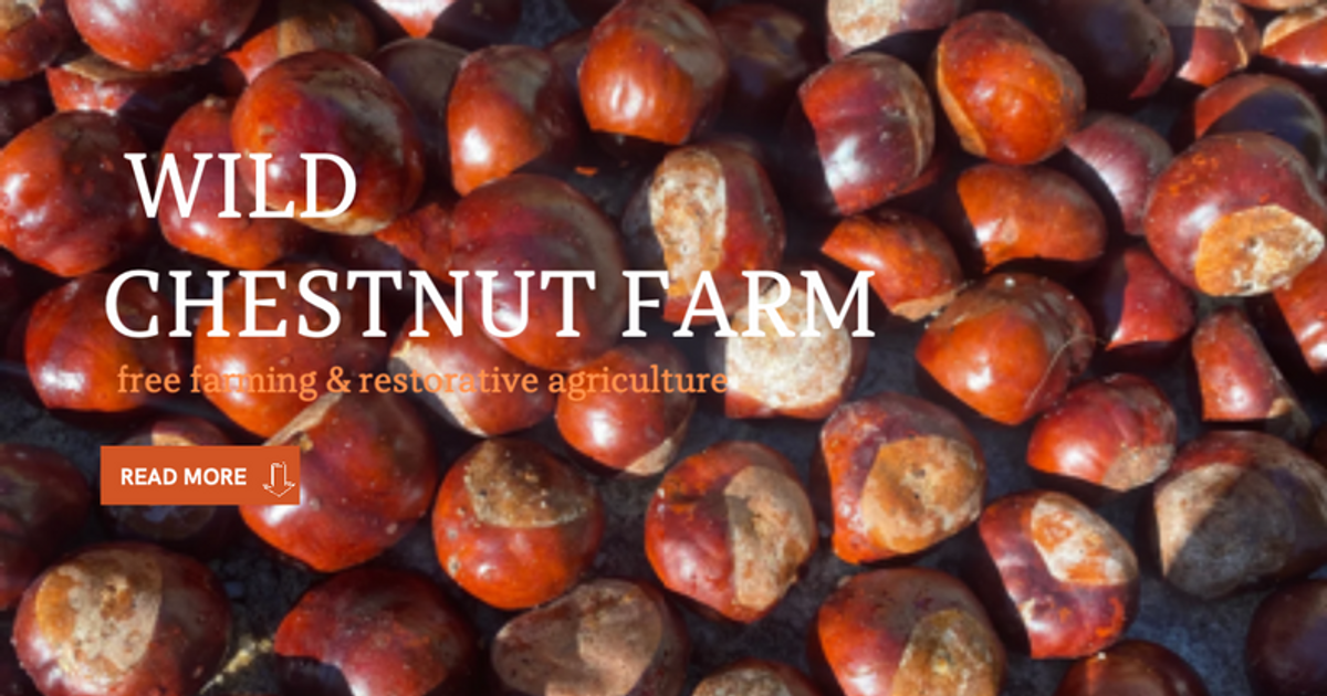 Wild Chestnut Farm